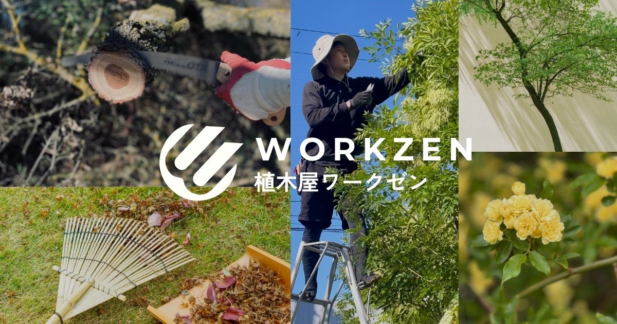 大阪の雑草対策業者｜放置しがちな庭を整える丁寧対応のワークゼン